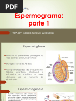 Anatomia Clínica Da Região Inguinal | PDF | Testículo | Anatomia