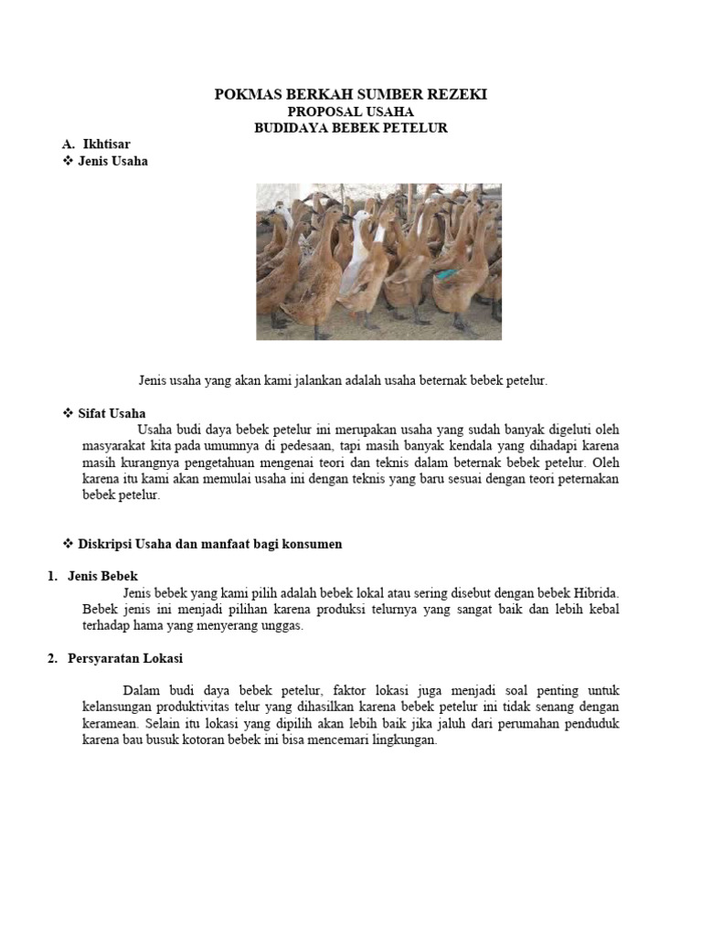 Proposal Usaha Budidaya Bebek Petelur | PDF | Kesehatan Holistik