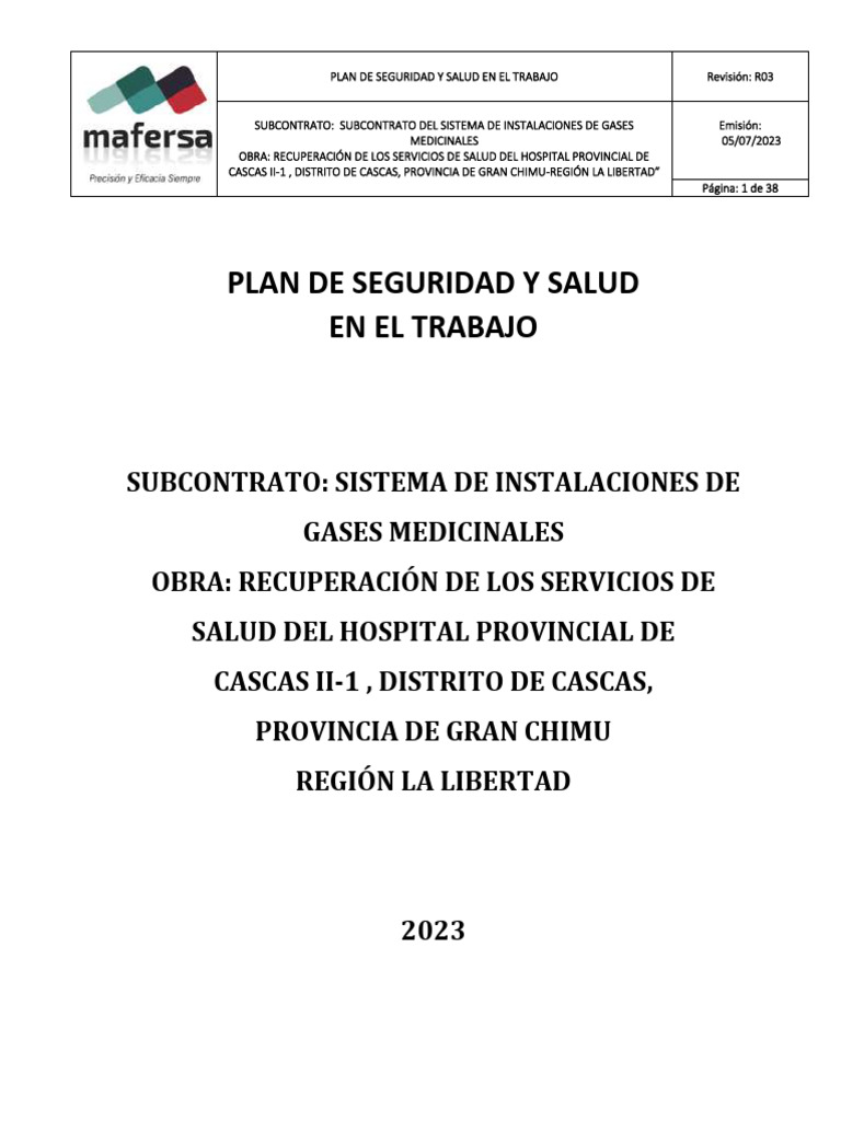 Plan de Seguridad | PDF | Seguridad y salud ocupacional | Hospital