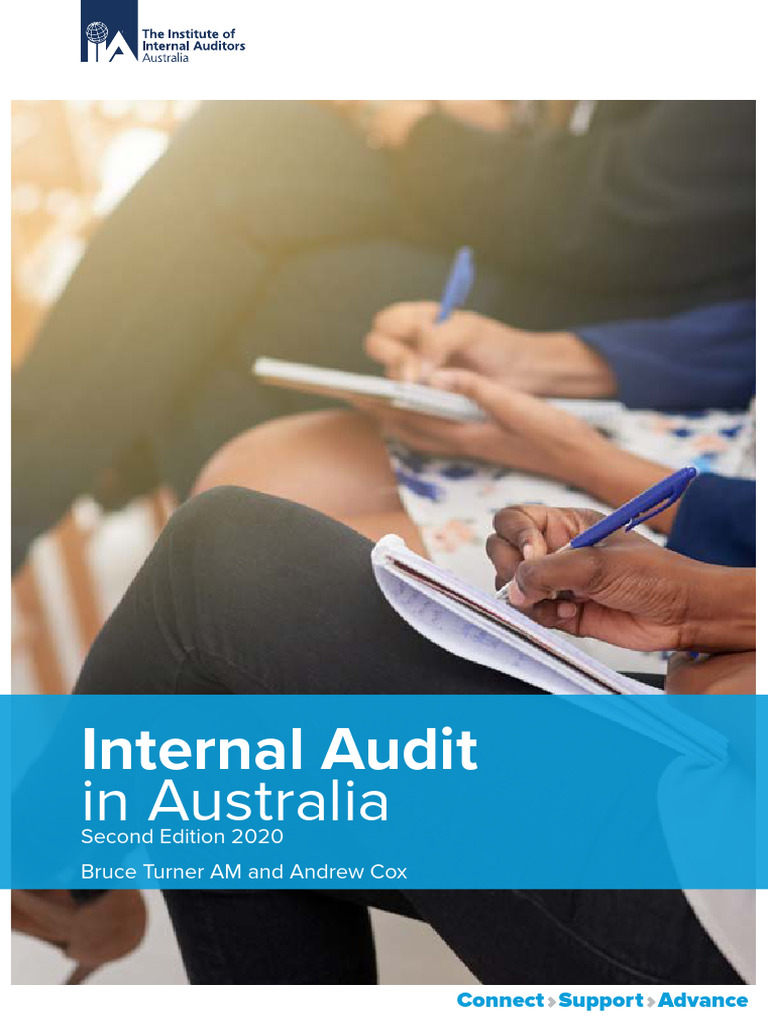 Internal Audit Guide for Professionals | PDF | Internal Audit | Audit