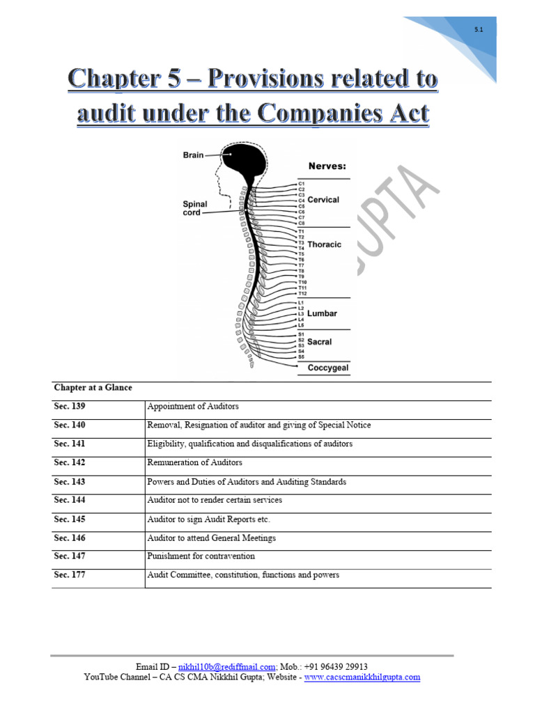 Company Audit | PDF | Audit | Auditor's Report