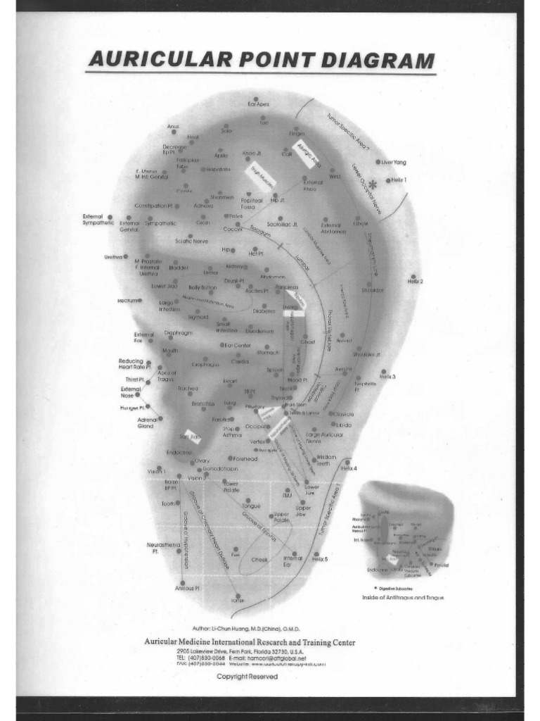 Auricular Point Diagram | PDF