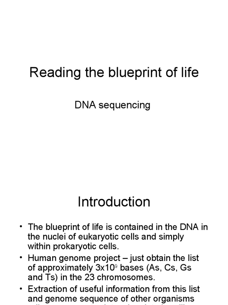Reading The Blueprint of Life: DNA Sequencing | PDF | Polymerase Chain ...