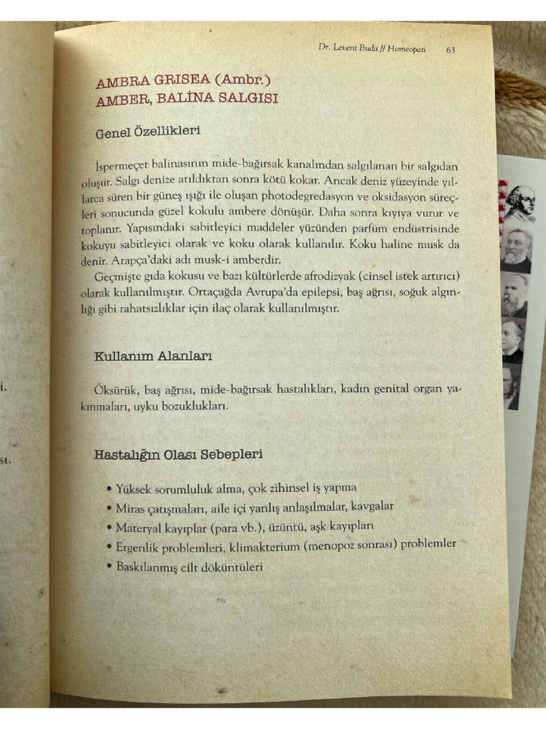 4 Ambra Grisea PDF | PDF