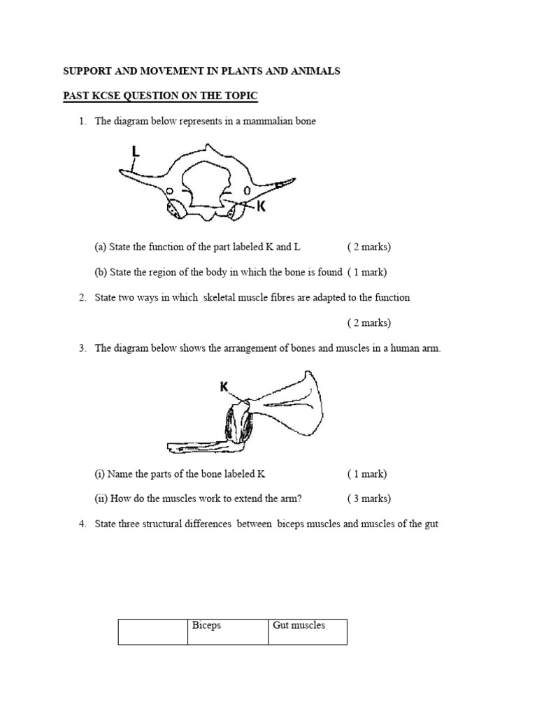 Bio Form 4 | PDF | Vertebral Column | Musculoskeletal System