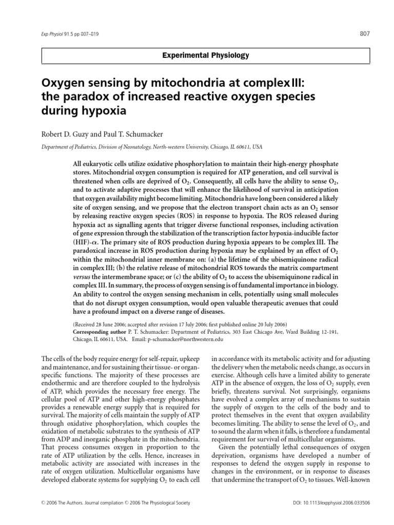Experimental Physiology - 2006 - Guzy - Oxygen Sensing by Mitochondria ...