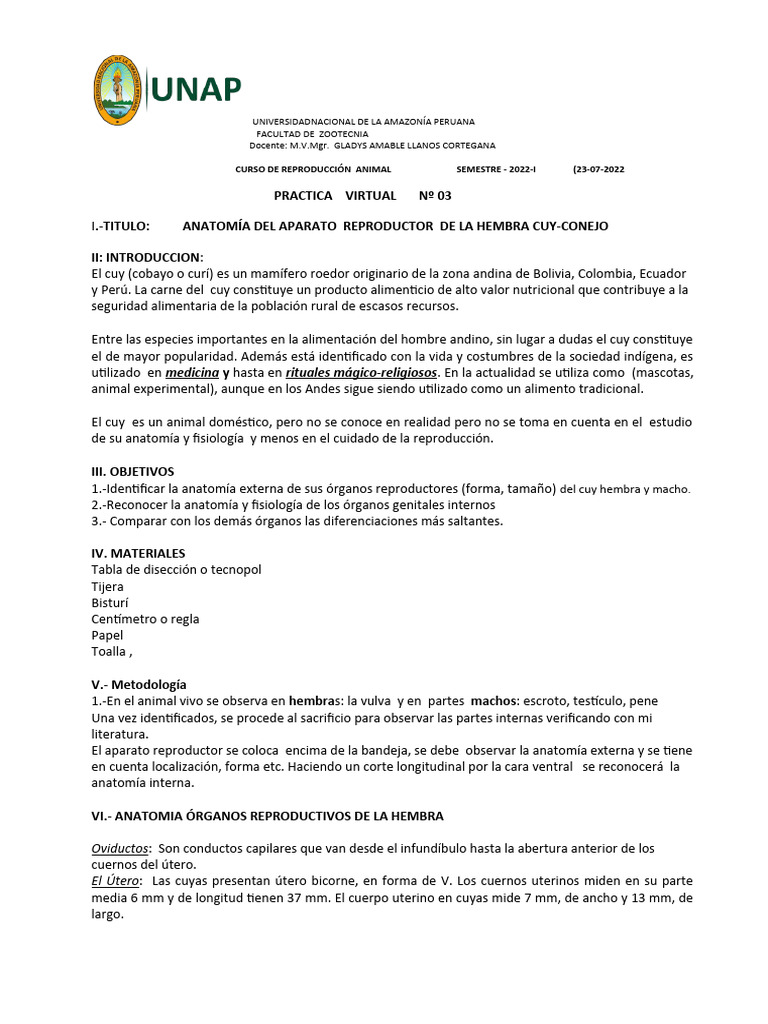 Anatomía Reproductora del Cuy Hembra | PDF | Sistema reproductivo ...