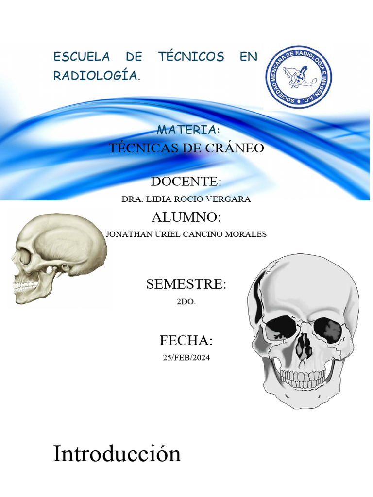 Museo de Medicina | PDF | Radiología | Medicina