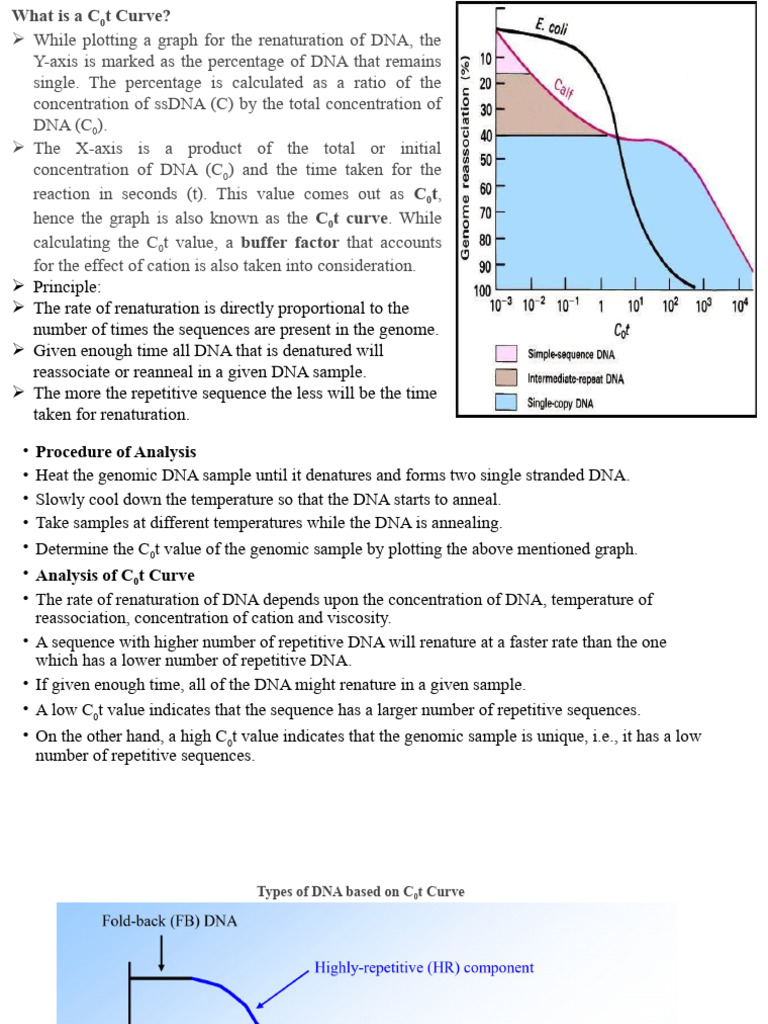 Cot Curve Factors Affecting Types of Dna Based On Cot Curve Chemical Reactions | PDF | Dna ...