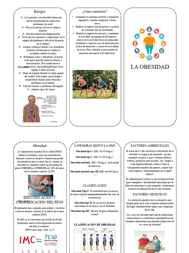 Triptico Obesidad 2, Kevin Marzul y Anibal Hernadez | Descargar gratis PDF | Obesidad | Tejido ...