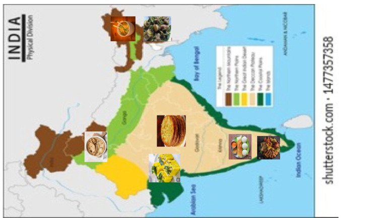 Indian Food | PDF
