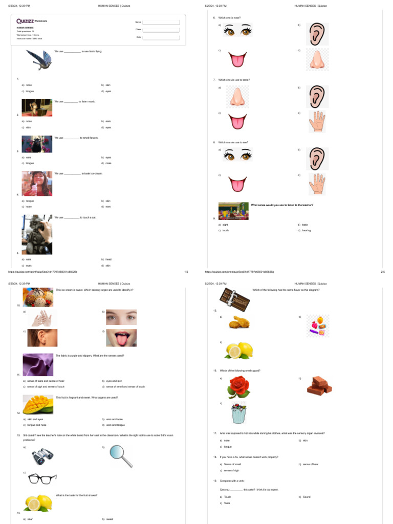 HUMAN SENSES - Quizizz | PDF | Senses | Taste