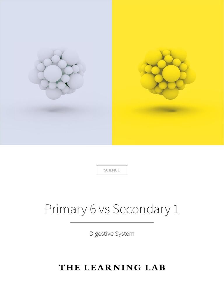 TLL Co P6vss1digestivesystem | PDF | Human Digestive System | Digestion