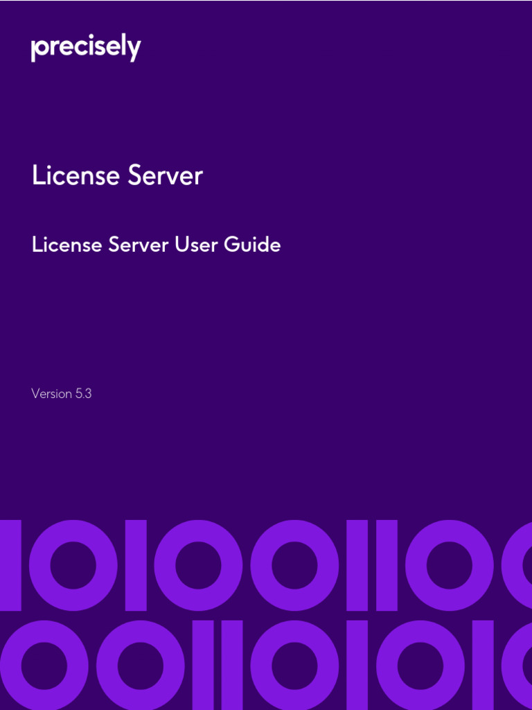 License Server Utility | PDF | Computer File | Microsoft Windows