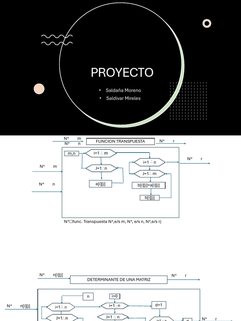 PROYECTO | PDF