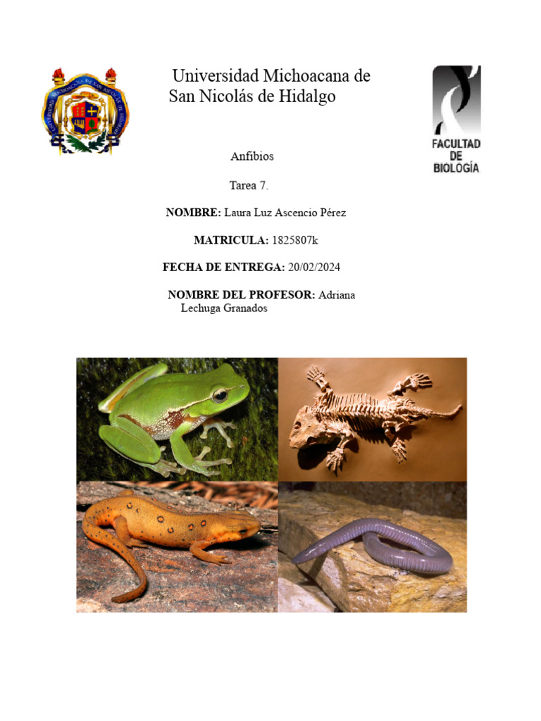 Tarea 7 Anfibios | PDF | Vertebrados | Evolución