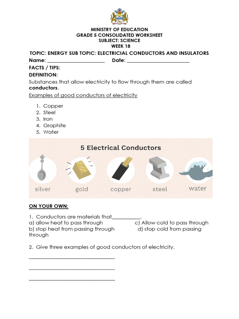 Grade 5 Conductors and Insulators Worksheet | PDF | Electrical ...