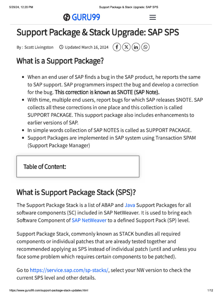 Sap Support Package Upgrade | PDF