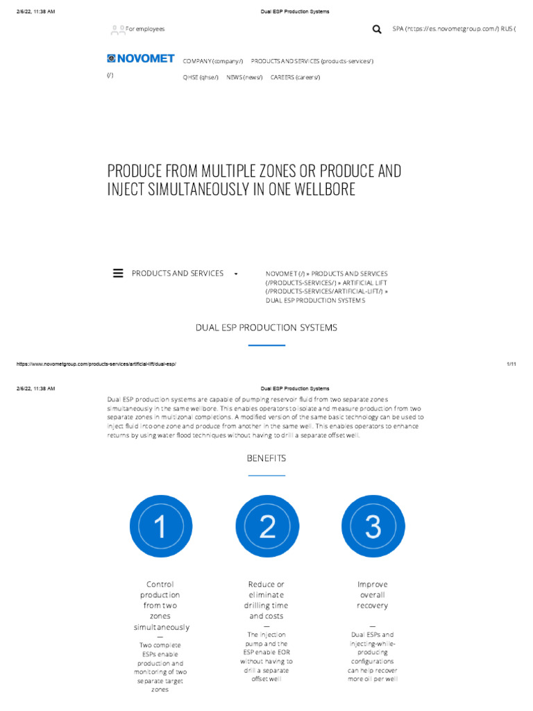 Dual ESP Production Systems | PDF | Chemical Engineering | Energy ...