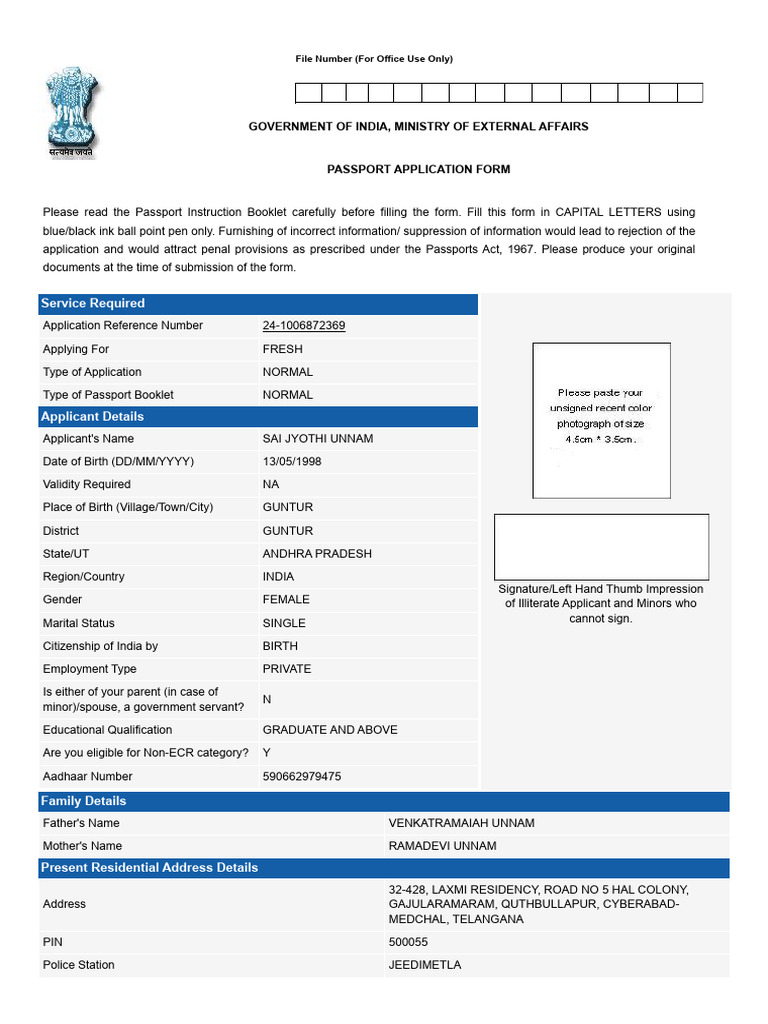 View - Print Submitted Form 1111 | PDF | Passport | International Law