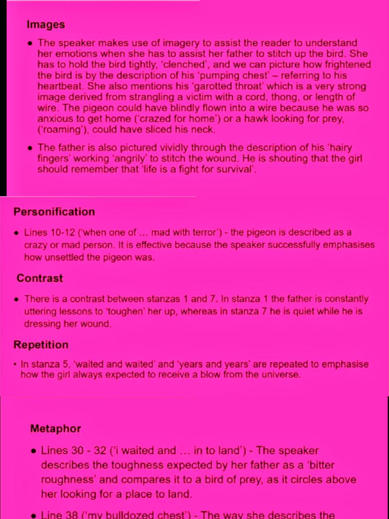 What Life Is Really Like | PDF