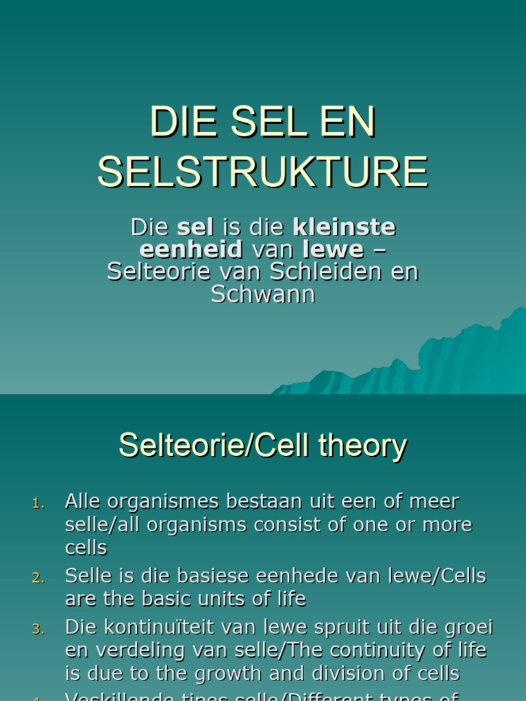 Selstruktuur en Funksies in Lewe | PDF | Endoplasmic Reticulum | Vacuole