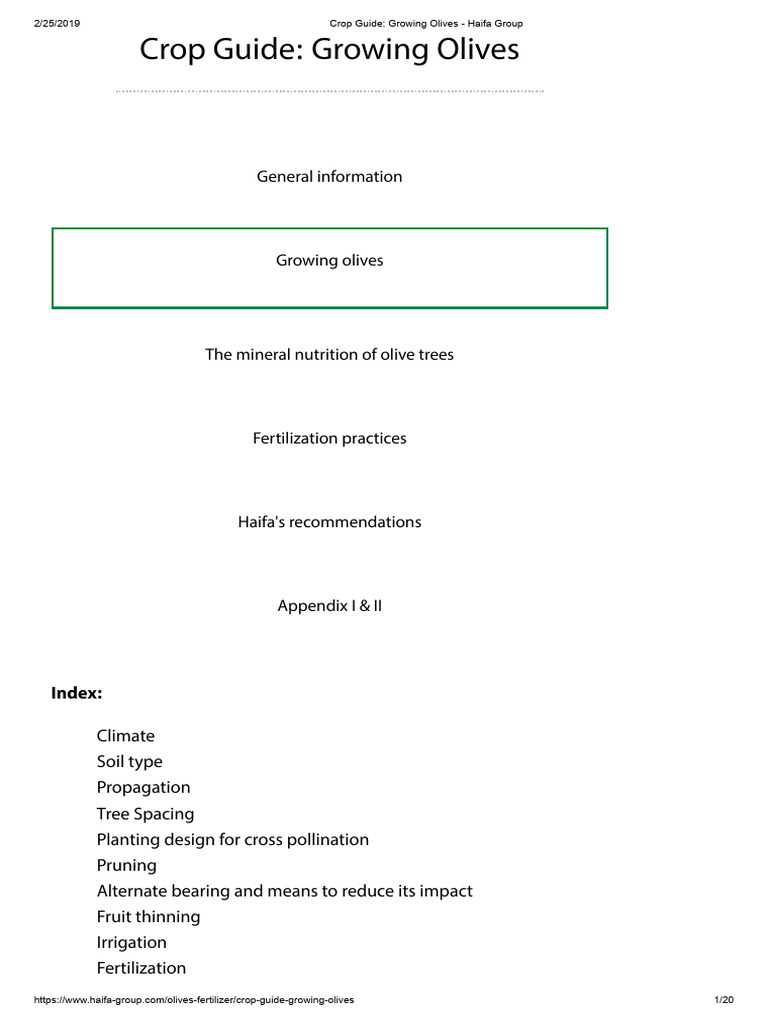 Crop Guide Growing Olives - Haifa Group | PDF | Olive | Pruning