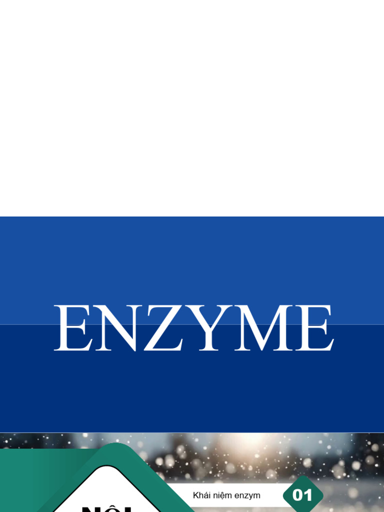 Enzyme | PDF