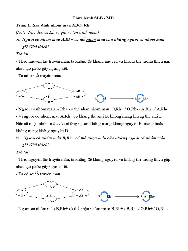TH C Hành SLB-MD | PDF