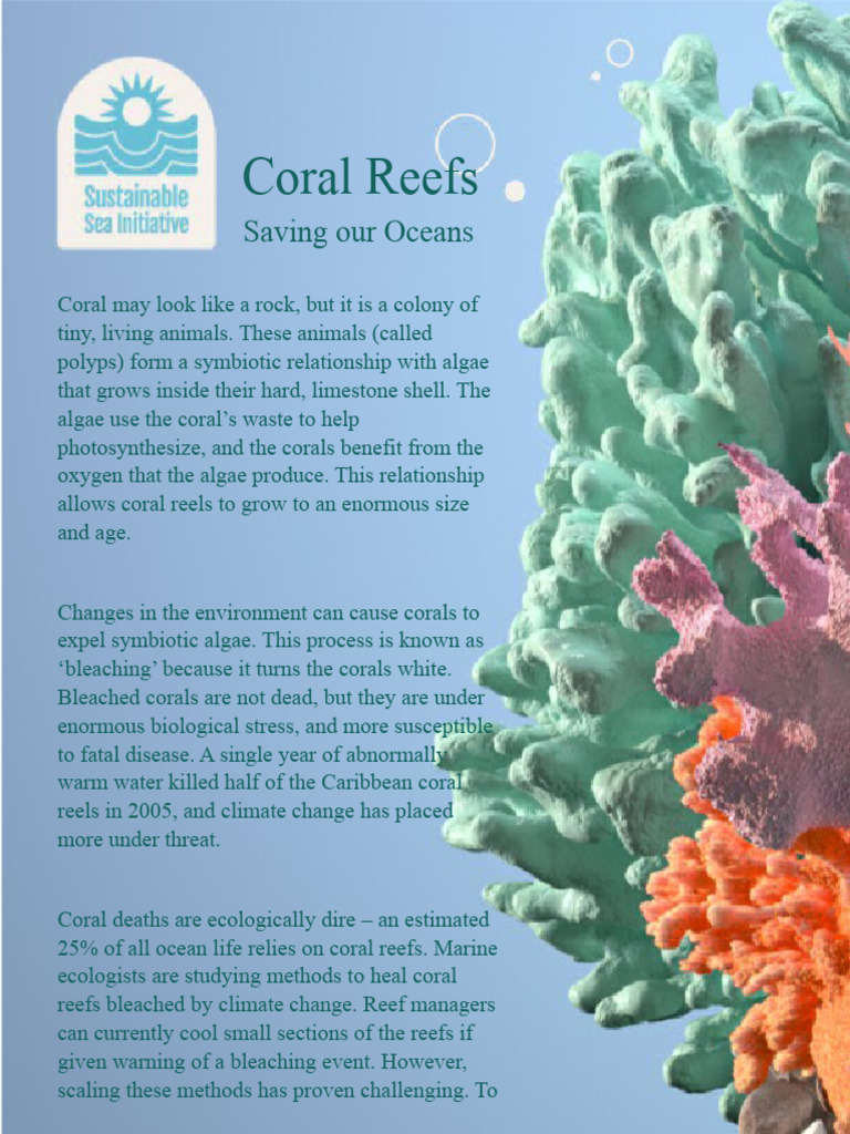 Protecting Coral Reefs | PDF | Science & Mathematics
