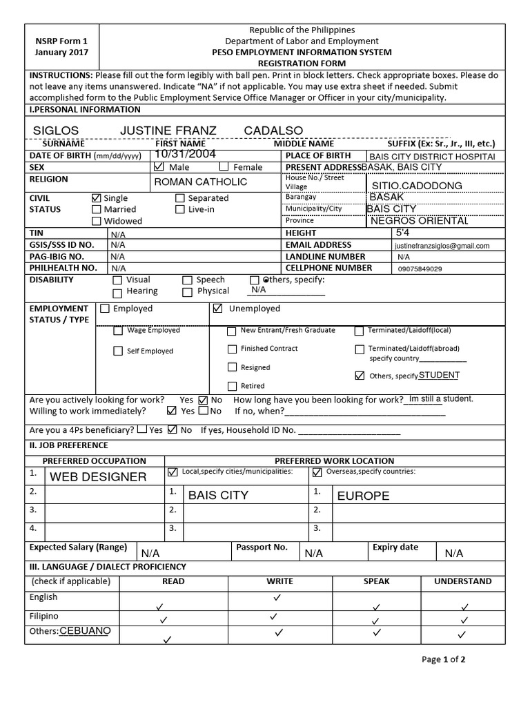 NSRP Form 1 Jobseeker Reg Form 1 | PDF