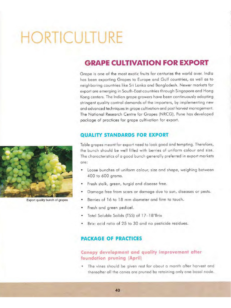 17-Horticulture-Grape Cultivation For Export | PDF