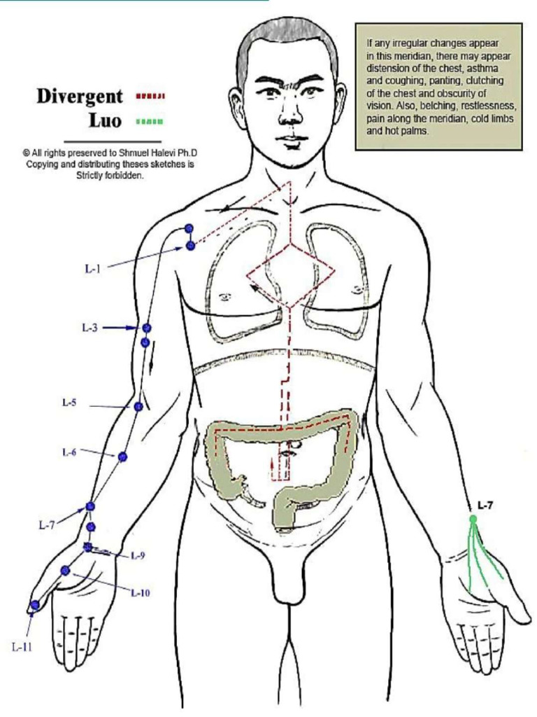 Meridian Lu (Paru-Paru) | PDF