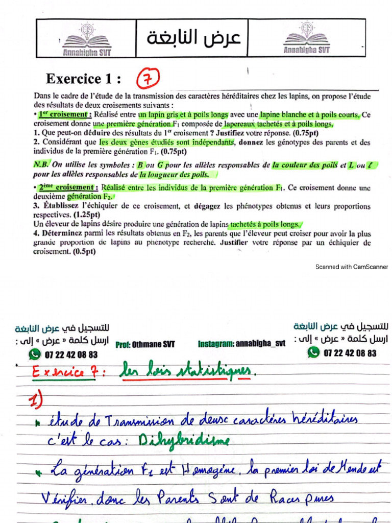 Correction Exercice 7 Les Lois Statistiq | PDF