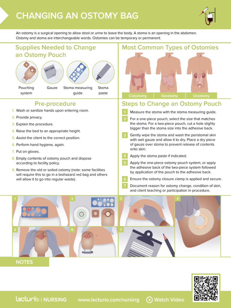 Nursing CS Changing an Ostomy Bag 03 | Download Free PDF | Gastroenterology