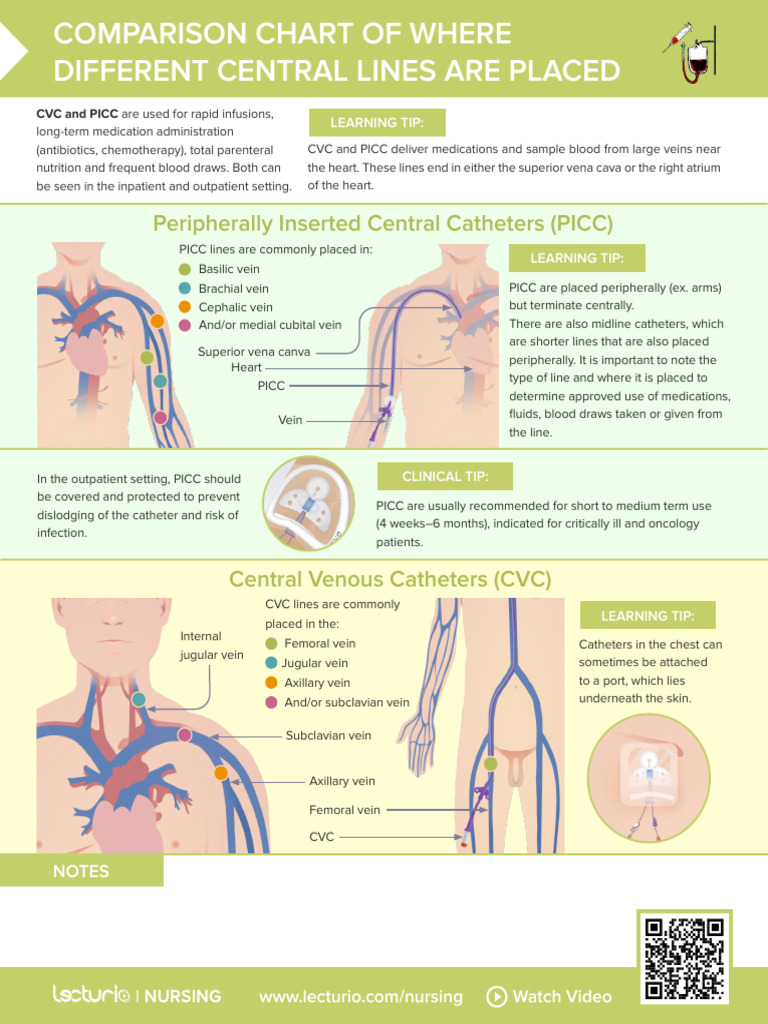 Nursing_CS_Comparison-Chart-of-Where-Different-Central-Lines-Are-Placed ...