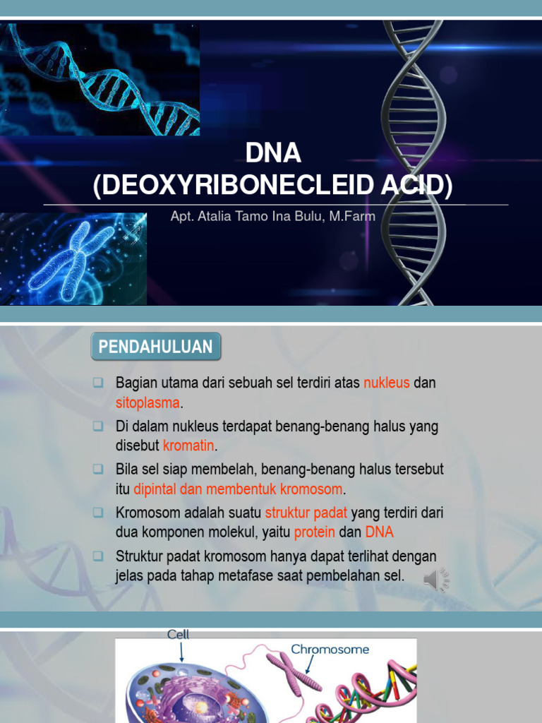 Struktur dan Fungsi DNA dalam Sel | PDF | Kajian Bahasa Asing | Sains ...