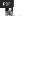 Hunger Games Extract District 12 | PDF