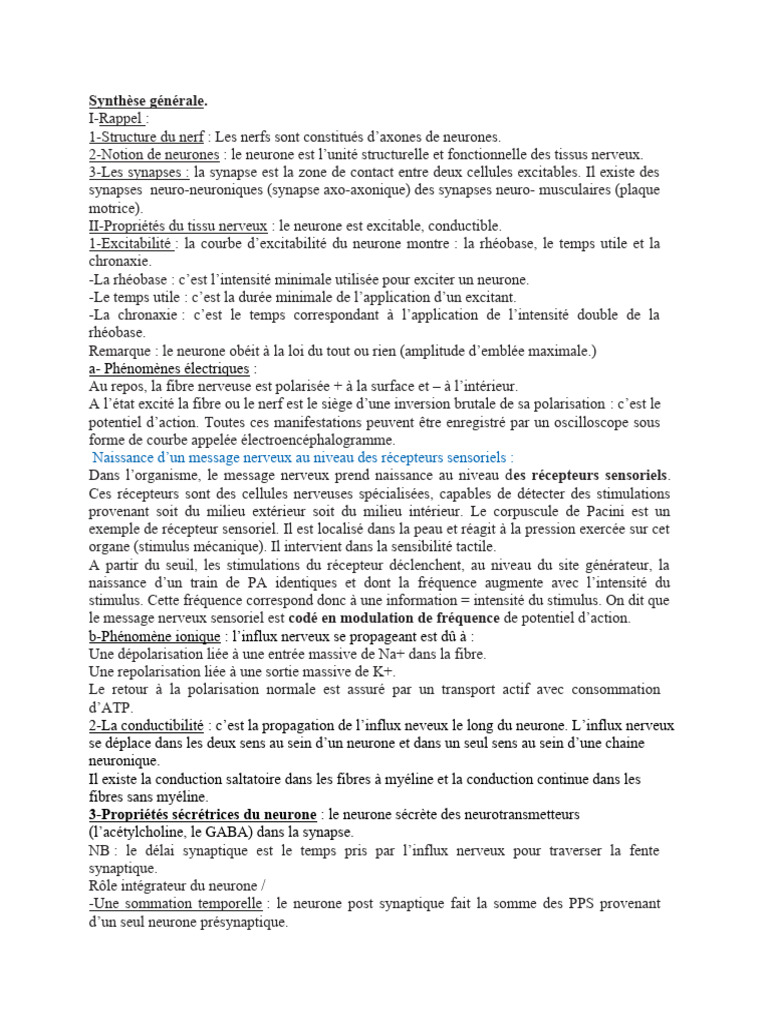 Synthèse Générale Neurone | PDF | Neurone | Synapse