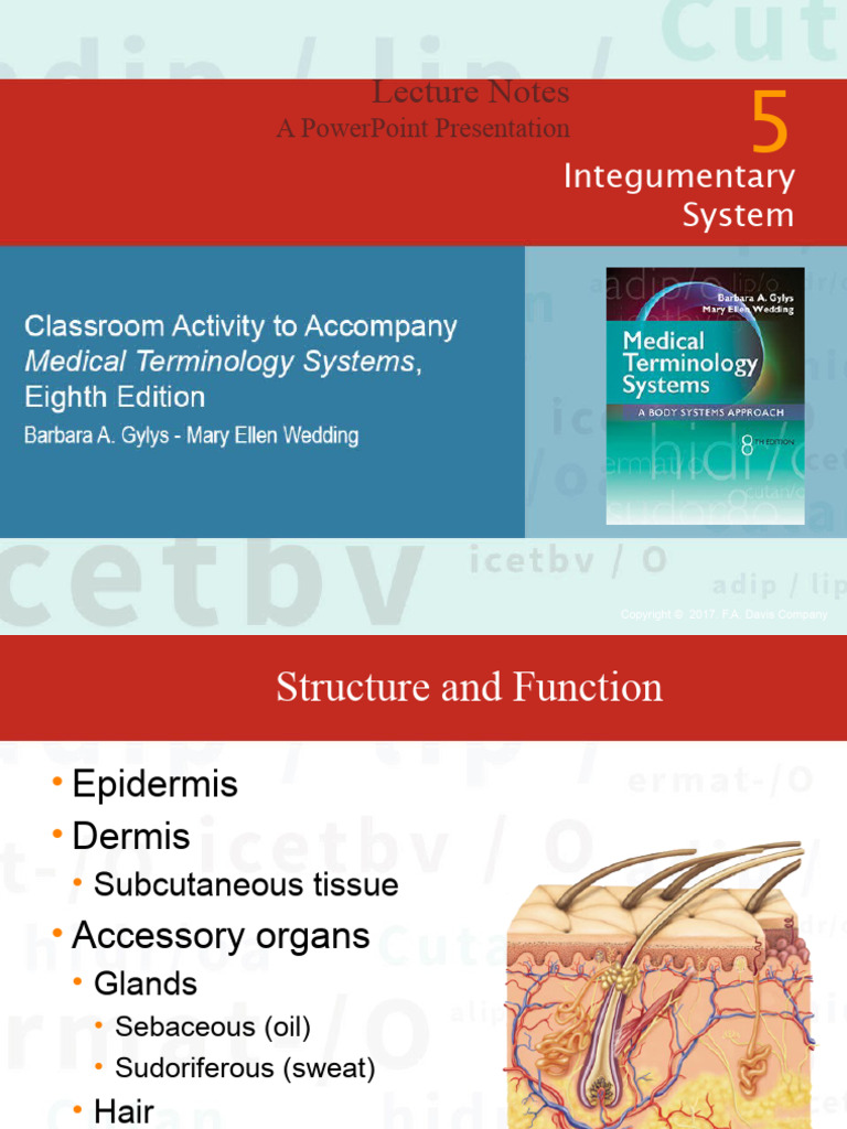 CH05 | PDF | Integumentary System | Dermatology