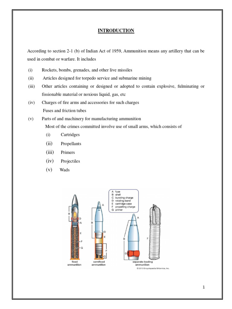 Forensic Ballistics Assignment | PDF | Bullet | Cartridge (Firearms)