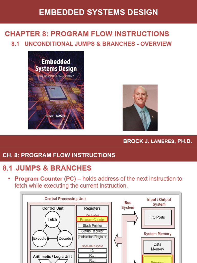Program Flow: Jumps & Branches | PDF | Control Flow | Computer Hardware
