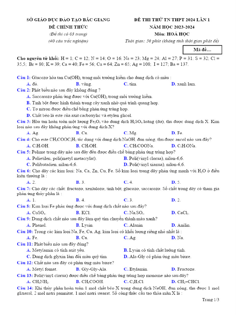 12 de Thi Thu TN THPT 2024 So GDDT Bac Giang Lan 1 File Word Co Loi Giaidocx 1600 PDF - Gdrive ...