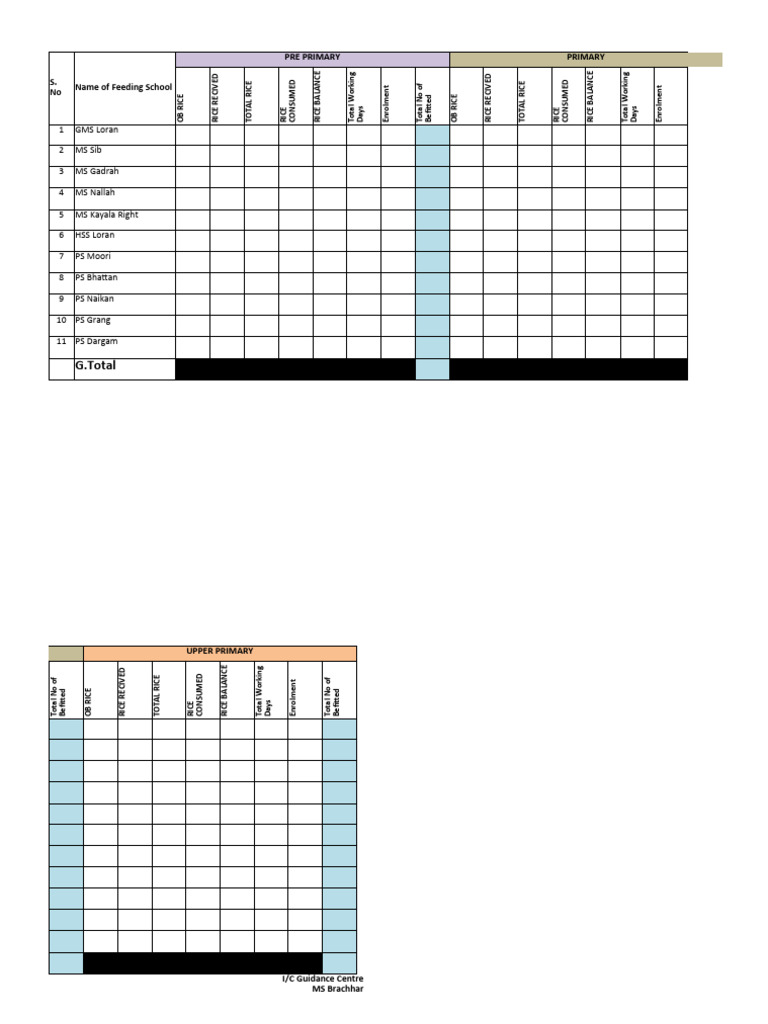 Mdm Format Complex Wise | PDF