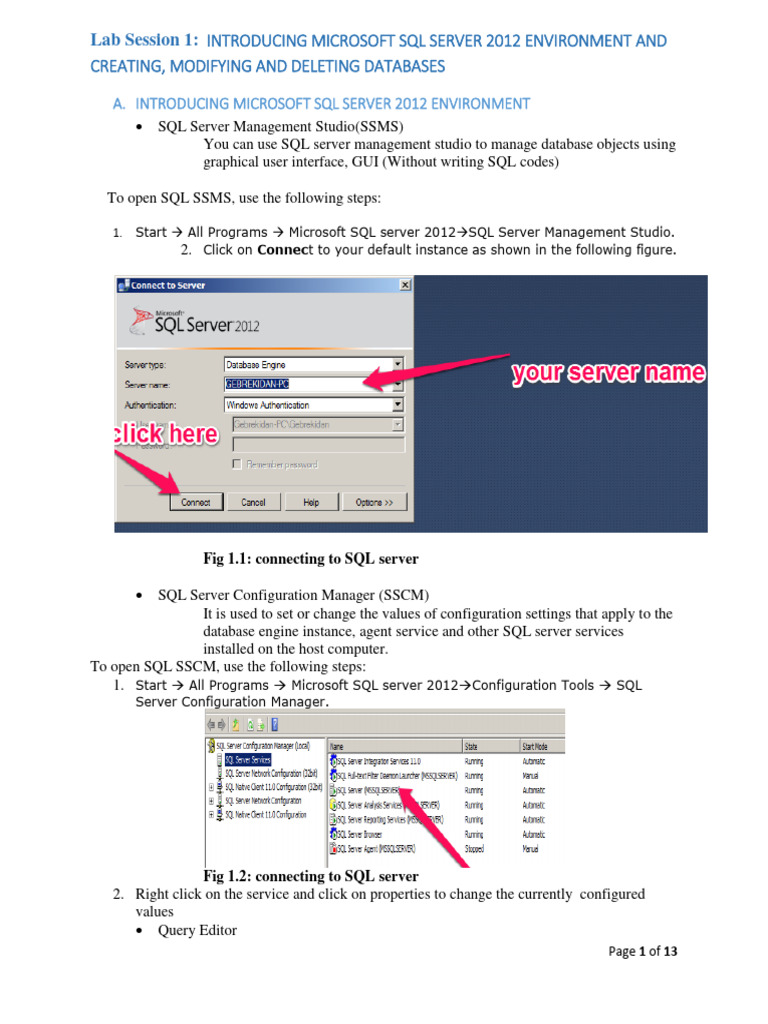 Lab Session 1-3 | Download Free PDF | Microsoft Sql Server | Databases