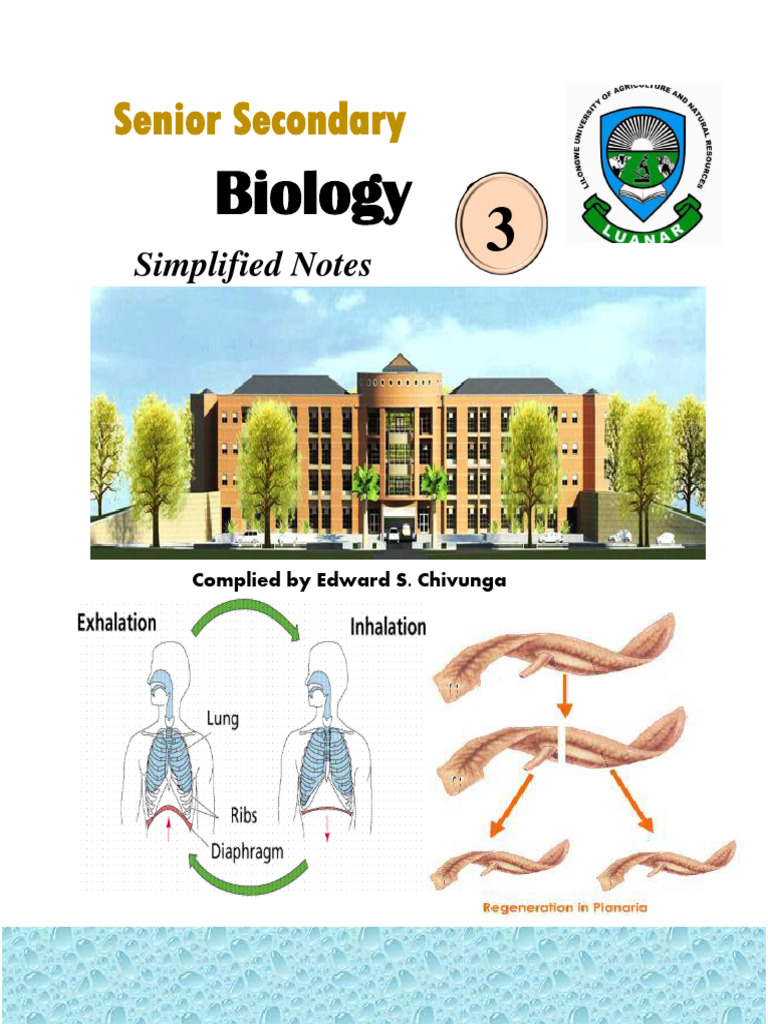 Biology Book 3 | PDF | Leaf | Photosynthesis
