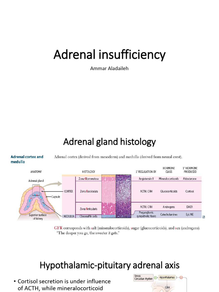 Adrenal Insufficiency Pdf Adrenal Gland Endocrine System