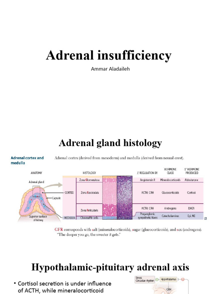 Adrenal Insufficiency Pdf Adrenal Gland Glands