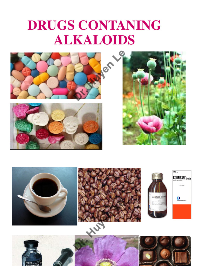 Drugs Containing Alkaloids - Part I, Tropane Alkaloids | PDF | Alkaloid | Amine
