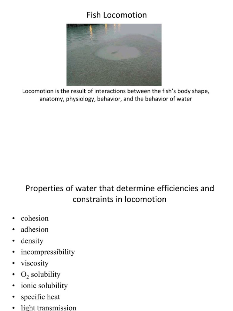 Fish Locomotion | PDF